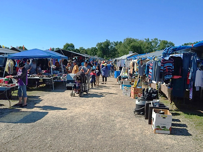 Treasure hunters navigate the bustling aisles at Reits Flea Market, where every turn promises new discoveries under Michigan's blue skies.