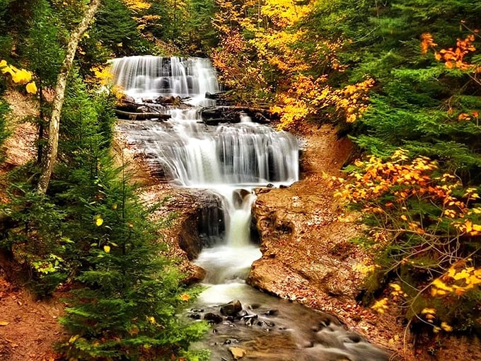Sable Falls cascades through autumn's fiery display, creating nature's perfect contrast of rushing white water against golden leaves.
