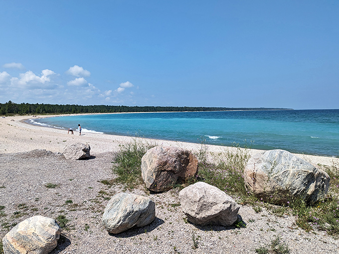 Seagull Point Park: Where Lake Huron's turquoise waters meet pristine shoreline, creating Michigan's answer to Caribbean beaches without the passport requirement.