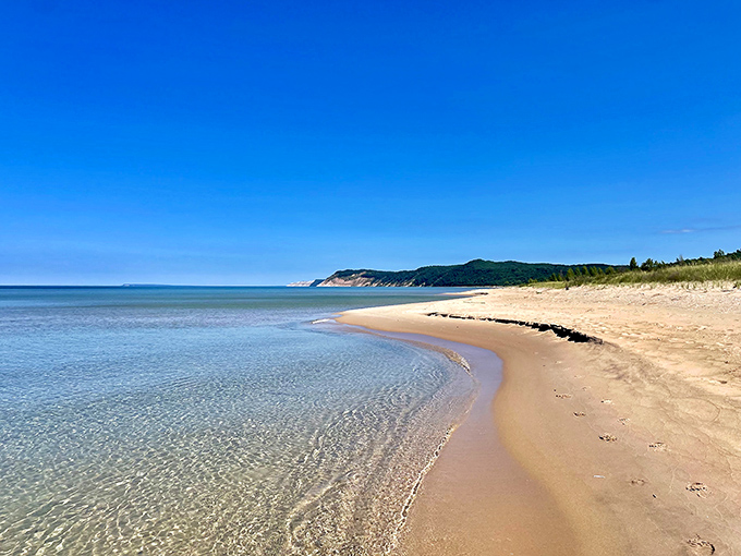 Sleeping Bear Dunes National Lakeshore: Where Michigan decided to show off with Caribbean-blue waters meeting golden shores. Mother Nature's mic drop moment.