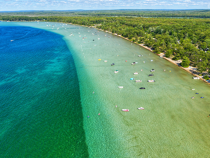 Nature's color palette on full display: Higgins Lake's legendary clarity creates that Caribbean-meets-Michigan magic that stops first-time visitors in their tracks.