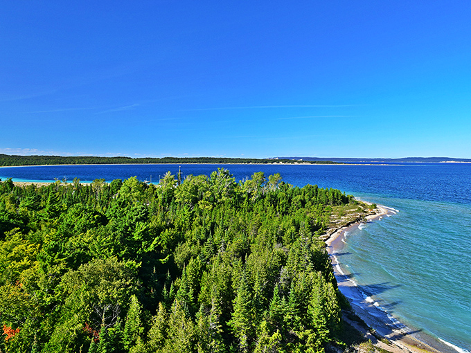 Nature's masterpiece unfolds where forest meets water, creating a tapestry of greens and blues that soothes the soul.
