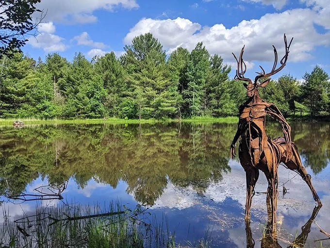A rusted metal elk stands majestically in the pond, creating a double image that blurs the line between art and nature.