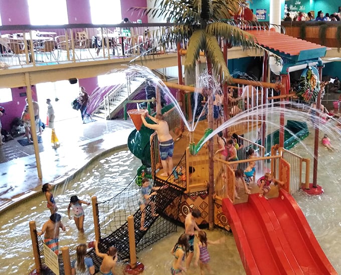 Welcome to aquatic paradise! Surfari Joe's Indoor Wilderness Water Park creates a tropical escape where Michigan winters dare not tread.