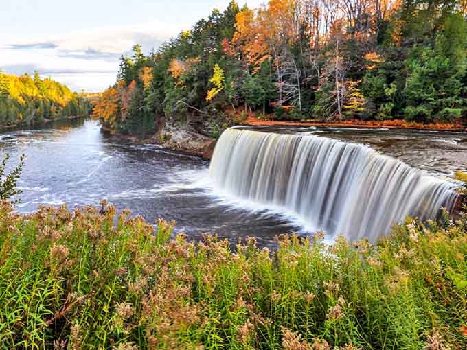 Tahquamenon Falls cascades dramatically through Michigan's autumn splendor, its amber waters creating nature's perfect contrast against fiery fall foliage.