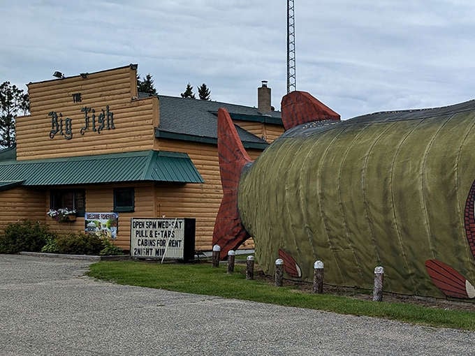 The Big Fish Supper Club's wooden exterior and massive muskie sculpture create Minnesota's most jaw-dropping roadside attraction. Literally.