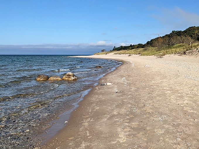 A pristine stretch of Lake Michigan shoreline awaits at the end of this half-mile trail, where nature's perfection feels almost suspiciously well-arranged.
