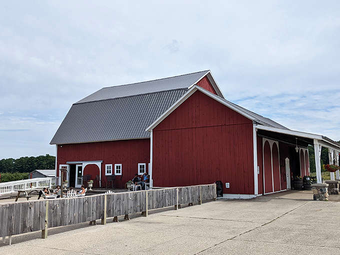 The iconic red barn stands proudly against Michigan skies, its classic silhouette promising rustic charm and fine wines within.