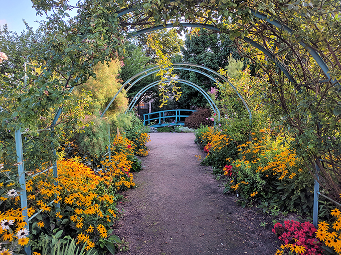 Welcome to floral paradise! The turquoise arches stand proudly among flowers that seem to be nodding their approval.