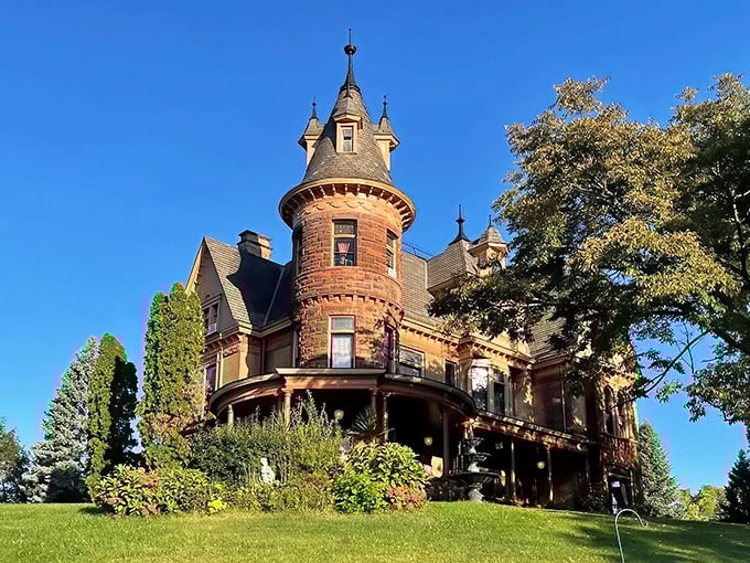 The underground wine cave at Henderson Castle offers a cool retreat where history and viticulture meet in perfect harmony.
