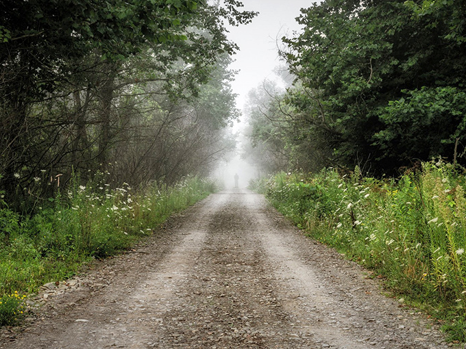 A misty morning transforms Seven Gables Road into a portal to another world, where reality blurs at the edges.