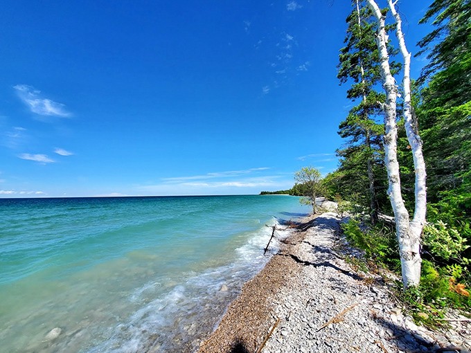 Nature's masterpiece: Thompson's Harbor's shoreline where turquoise waters meet pristine beaches, creating Michigan's answer to Caribbean paradise.