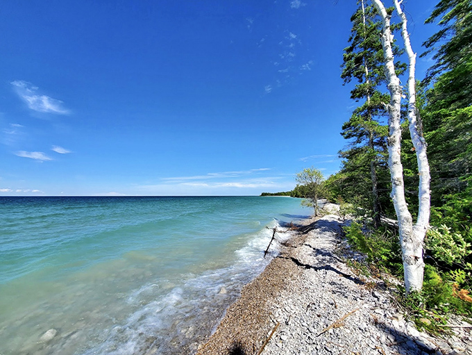 Where pristine shoreline meets crystal-clear waters, Thompson's Harbor State Park offers a slice of Michigan paradise untouched by crowds and commercialization.