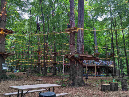 This Exhilarating Treetop Adventure Park In Michigan Is Perfect For ...