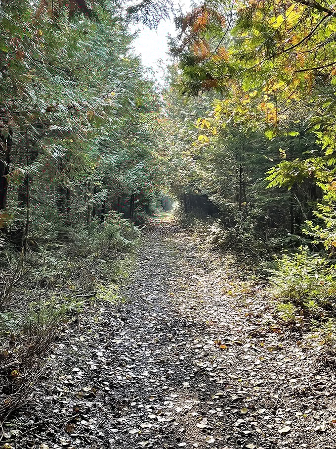 Rockport State Recreation Area: Nature's welcome mat unfurls at the entrance, where wooden signage and smooth stones hint at the adventures waiting beyond the treeline.