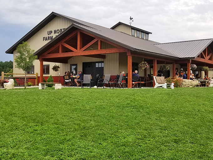 Up North Farm Market stands proud against Michigan skies, its rustic-chic design promising farm-fresh adventures and animal encounters galore.