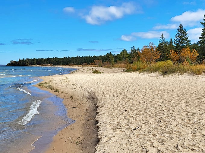 Where pristine shoreline meets crystal-clear waters, creating a paradise that feels worlds away from everyday life.