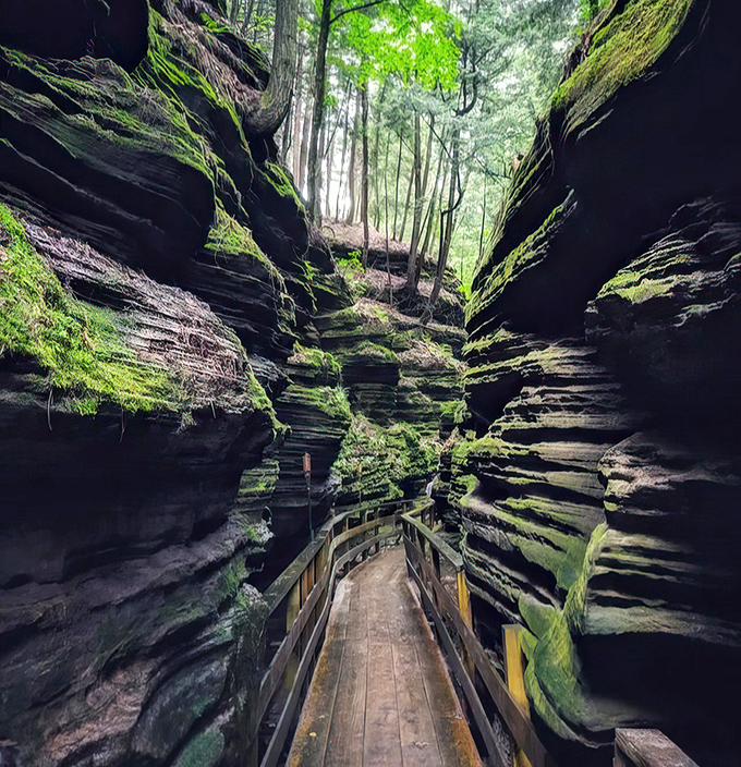 A wooden boardwalk snakes through moss-covered walls, inviting explorers into nature's secret passageway. Witches Gulch beckons with prehistoric charm and mysterious shadows.