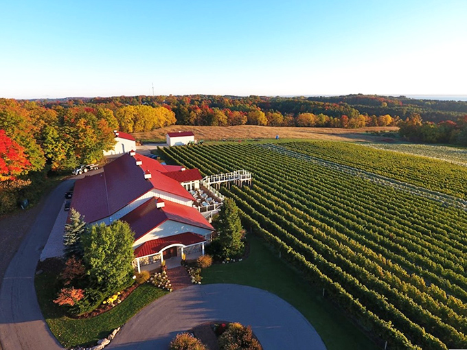 A bird's-eye view of paradise: Brys Estate's stunning red-roofed winery nestled among rolling vineyards with Grand Traverse Bay shimmering in the distance.