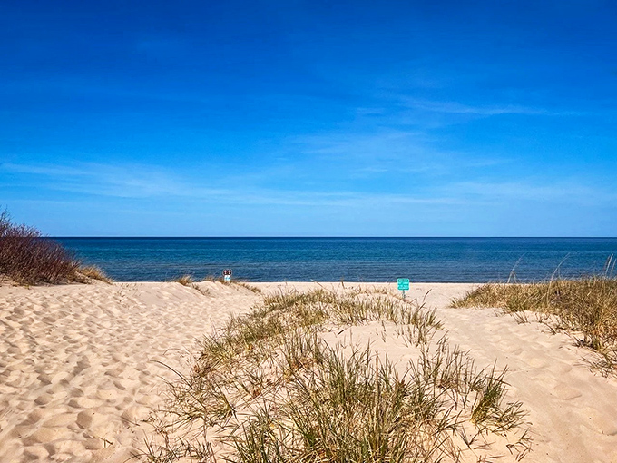 A perfect Michigan beach day that makes you wonder why anyone would ever vacation anywhere else.