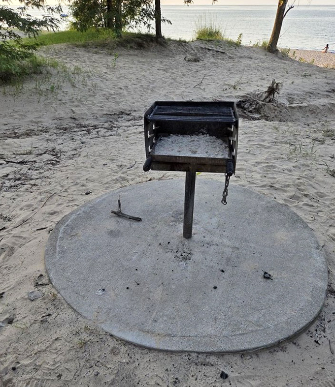 Beachside grilling stations transform ordinary hot dogs into gourmet dining experiences with a side of lake views.