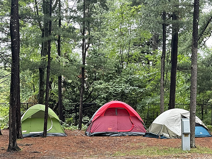 Colorful tents dot the landscape at Keith J. Charters State Park, where camping feels like glamping thanks to those pristine Michigan waters nearby.