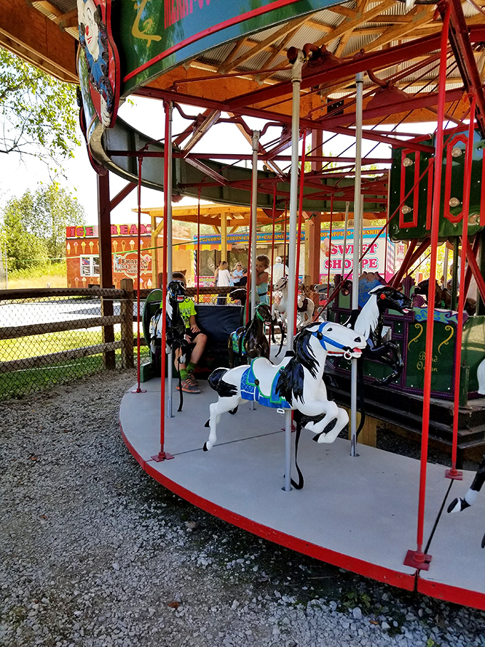This classic carousel features hand-painted animals that haven't been updated to include characters from the latest streaming shows. Calliope music included, no subscription required!