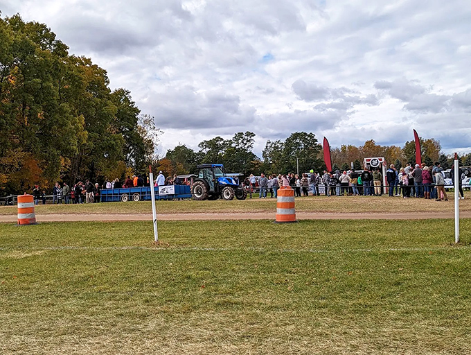 A sunflower stands tall against blue skies, nature's own welcome sign for visitors seeking both beauty and bounty at the cider mill.