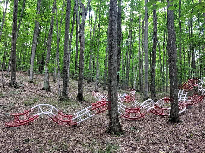 "Communications Vine" winds through the trees like a metallic snake, its industrial elements creating fascinating contrast with the natural surroundings.