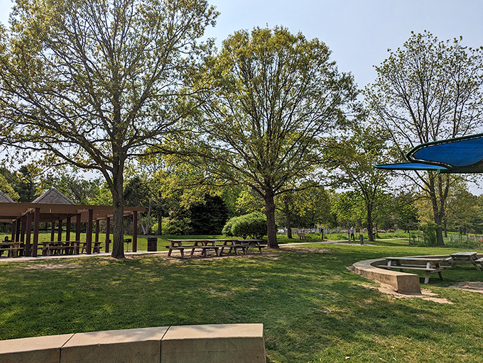 County Farm Park's open spaces provide room to breathe, play, and remember that sometimes the best entertainment doesn't require charging cables or monthly subscriptions.