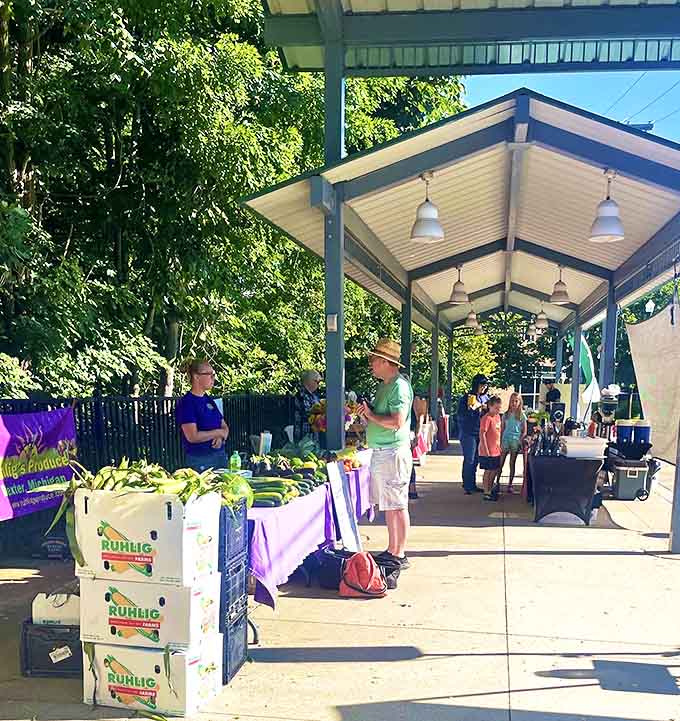 The Dexter Farmers Market transforms Saturday mornings into a celebration of local bounty, where farmers and neighbors reconnect over fresh produce.