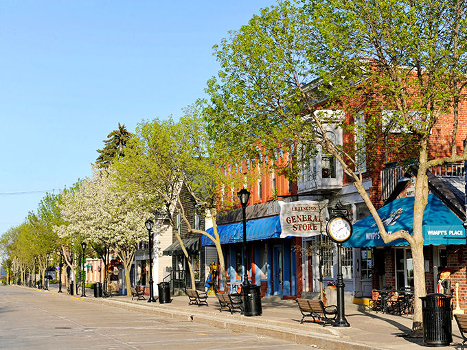 Downtown View: Spring blossoms frame Lexington's main thoroughfare, where vintage lampposts and benches invite visitors to slow down and savor the moment.