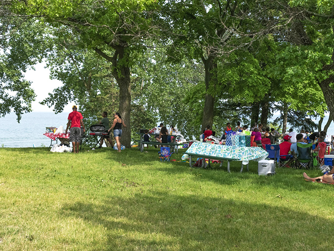 Family picnics under shady trees offer the perfect respite from midday sun, combining the best of beach and park experiences.
