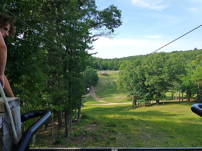 Forest Canopy View: Michigan's wilderness from a squirrel's perspective. The kind of scenery that makes you momentarily forget you're suspended by a cable.