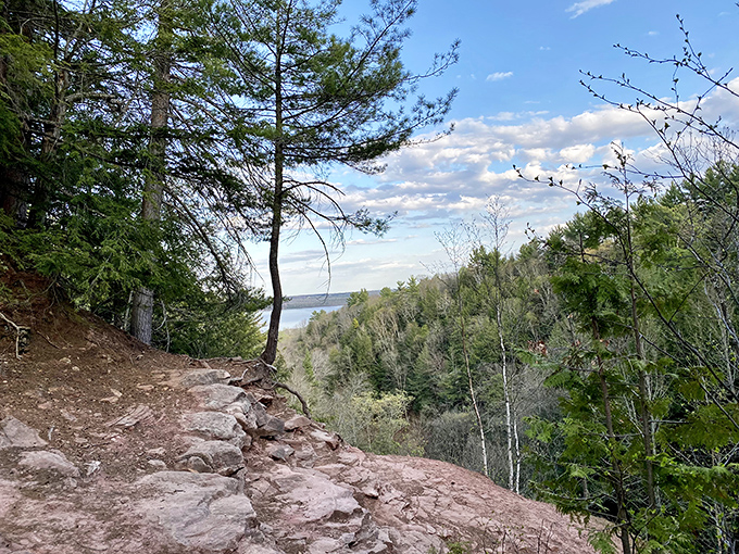 The forest opens to reveal a breathtaking vista, where treetops stretch toward the horizon and Michigan's beauty unfolds in every direction.