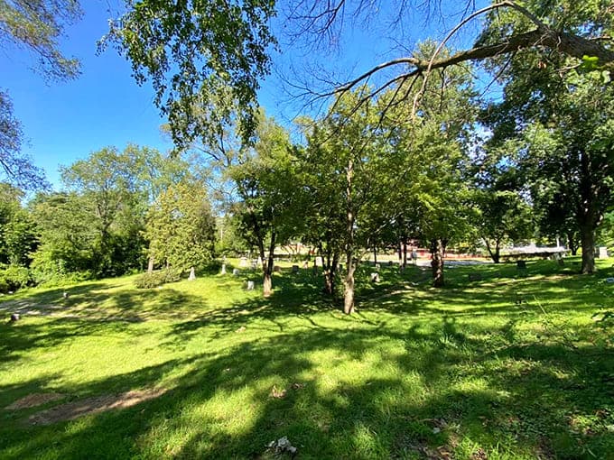 Mature trees create a natural cathedral over the graveyard, their canopy providing shade and beauty that no human landscaper could improve upon.