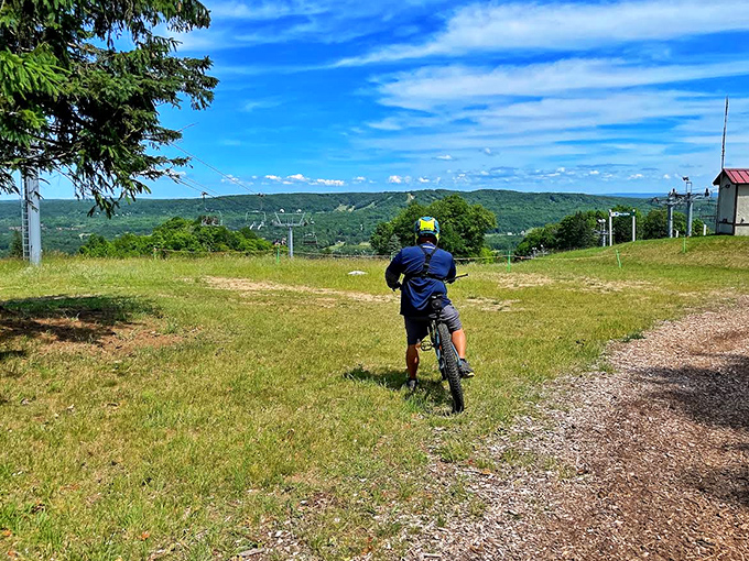 Mountain biking with a view: this rider pauses to appreciate Harbor Springs' rolling landscape before tackling the downhill adventure.