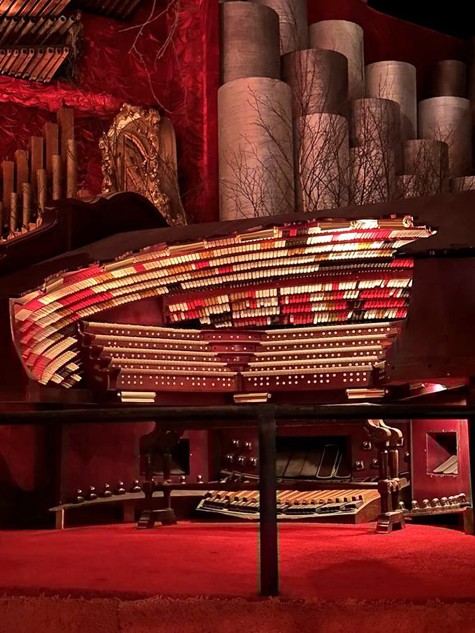 A bibliophile's paradise awaits in this meticulously arranged library, where rare volumes share space with curious artifacts.