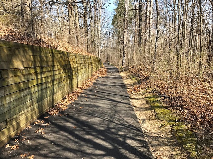This serene woodland path offers a more grounded experience &ndash; perfect for those who prefer terra firma under their feet.