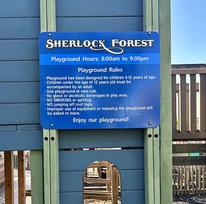 Clear rules and hours ensure everyone can enjoy Sherlock Forest safely, though the playground's design naturally encourages appropriate play without much prompting.
