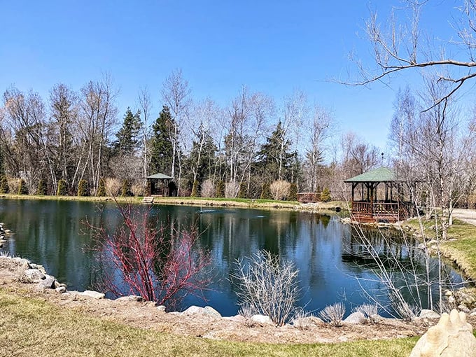 The reflection pond offers a moment of tranquility, doubling the beauty of Castle Farms through nature's perfect mirror.