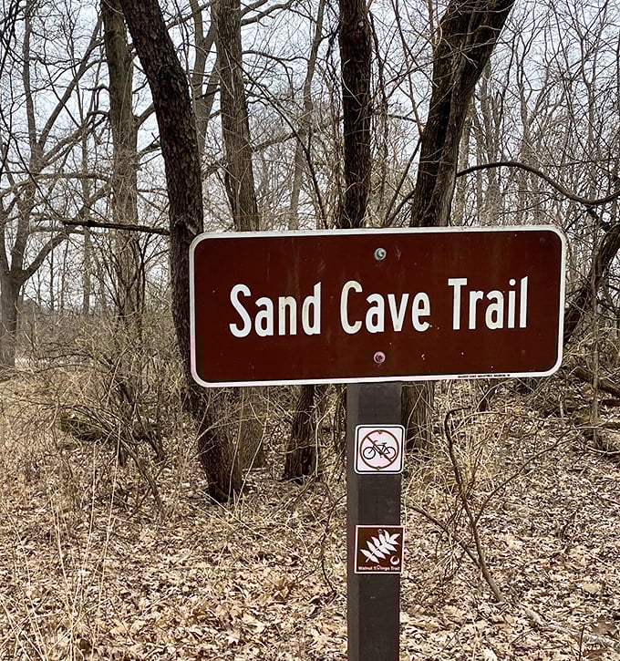 Autumn's golden touch transforms the trail into a kaleidoscope of warm colors, crunchy leaves included at no extra charge.