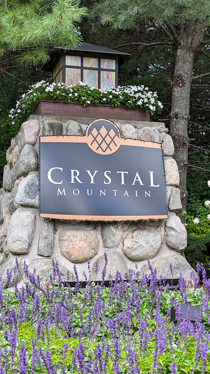 Lavender frames the iconic Crystal Mountain entrance &ndash; a welcoming portal to four seasons of memory-making adventures in Michigan's scenic north.