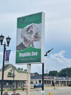 This Unique Zoo In Michigan Is An Unforgettable Encounter With Bizarre ...