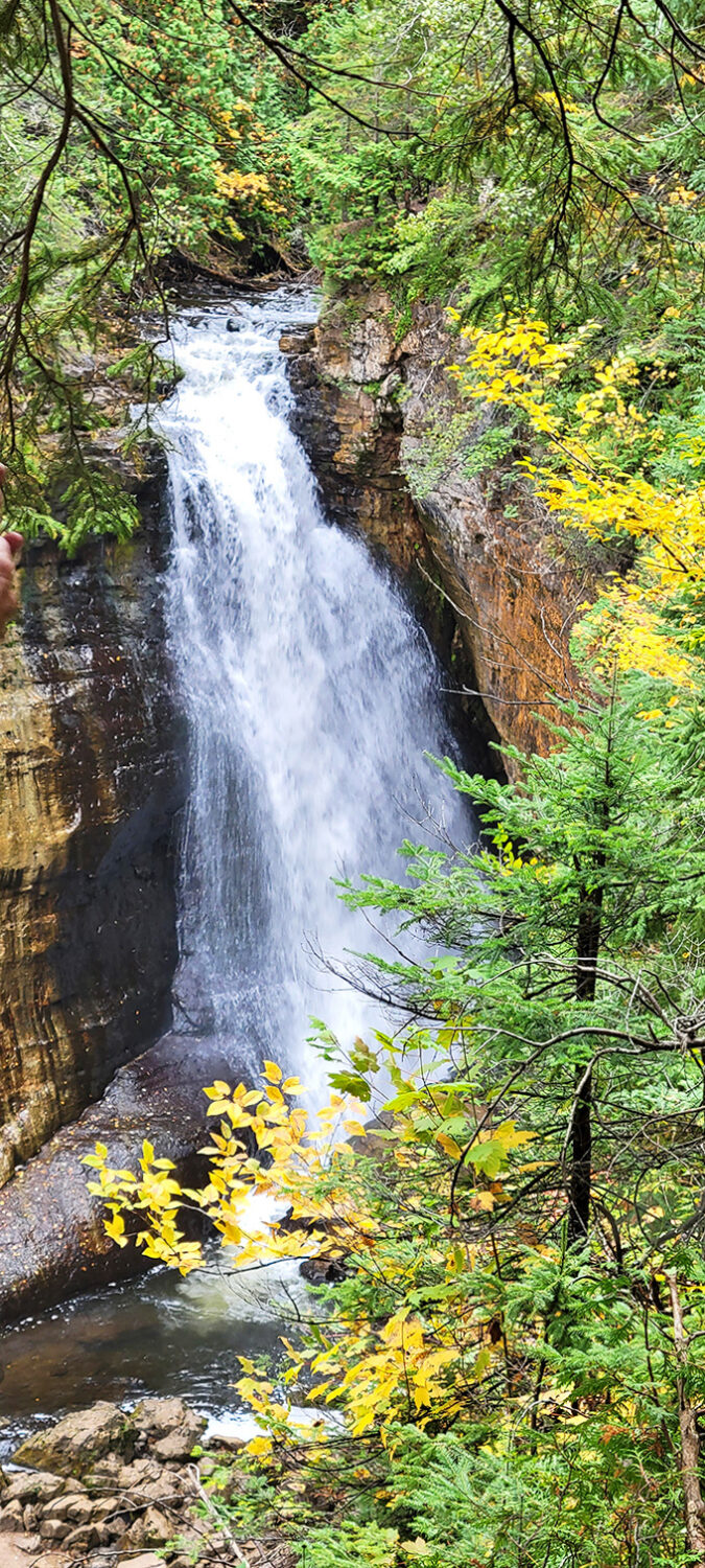 Water takes the express route down this dramatic forest waterfall, putting on a show that's been running for millennia.