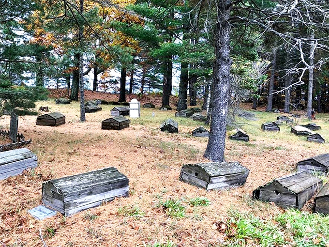 Winter, spring, summer, fall &ndash; the cemetery transforms with Michigan's seasons, each bringing its own solemn beauty.