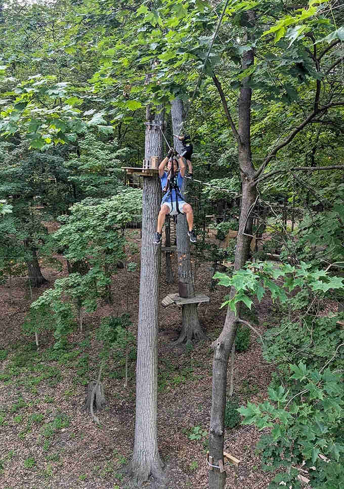 Gravity becomes optional as adventurers zip through the forest canopy, collecting stories they'll tell for years.
