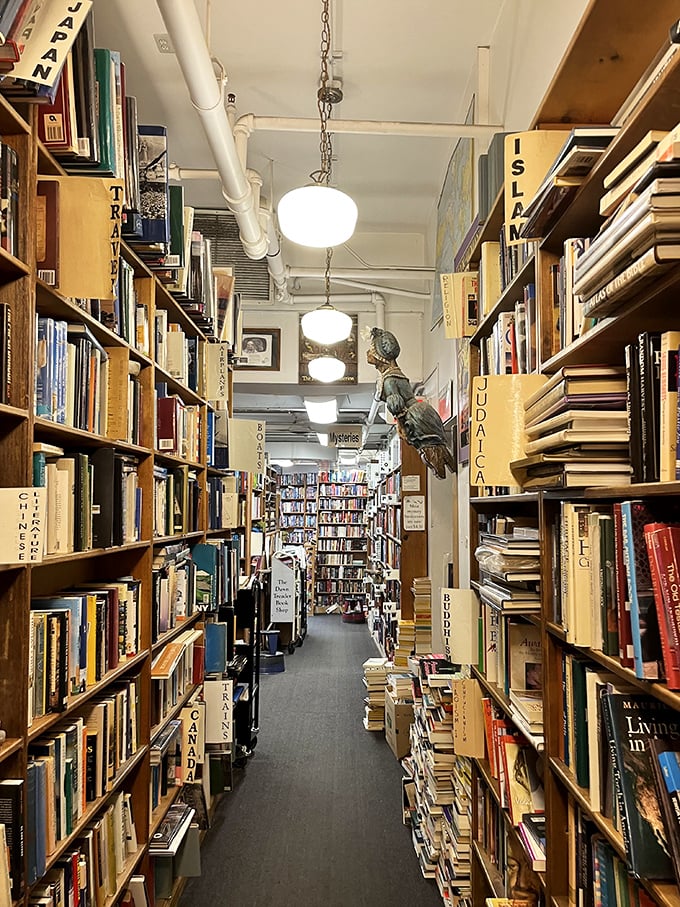 Every shelf tells multiple stories &ndash; not just within the books themselves, but in their arrangement, condition, and the journey that brought them here.