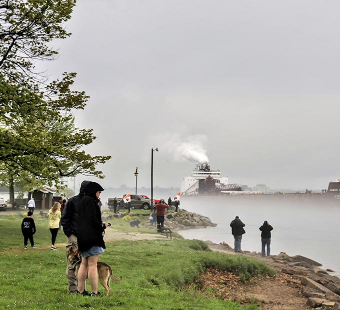 Watching massive freighters navigate the narrow passage feels like witnessing a maritime ballet performed by industrial giants.