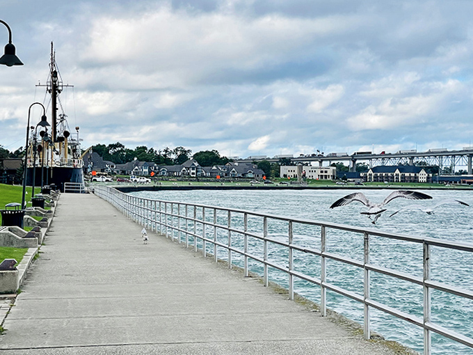 Seagulls patrol the waterfront boardwalk, where the rhythmic lapping of waves against the shoreline creates nature's perfect soundtrack for your journey.